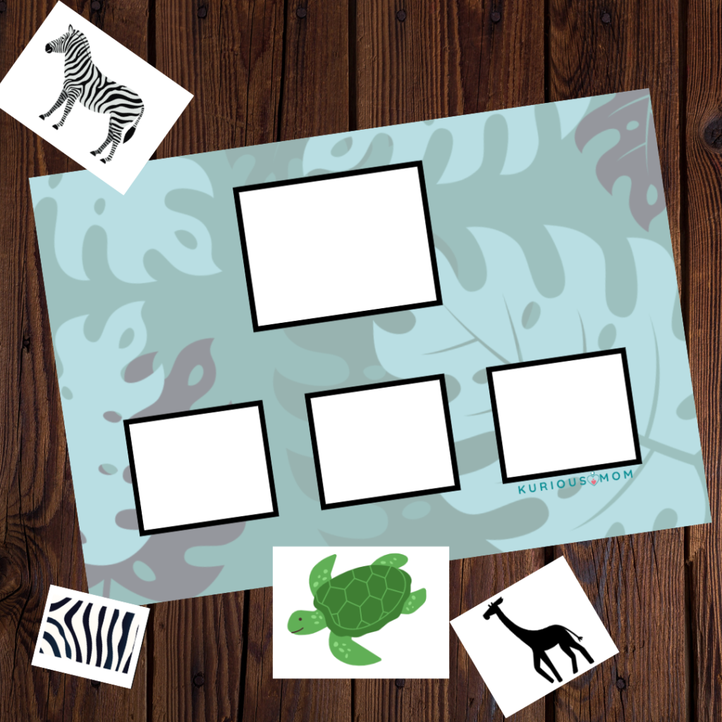 Animal Features Activity Kit KMACT010 - KuriousMom Shop