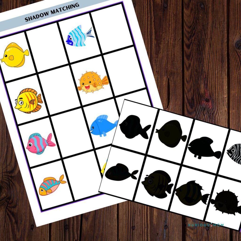 Brain booster shadow matching printable worksheet - KuriousMom Shop