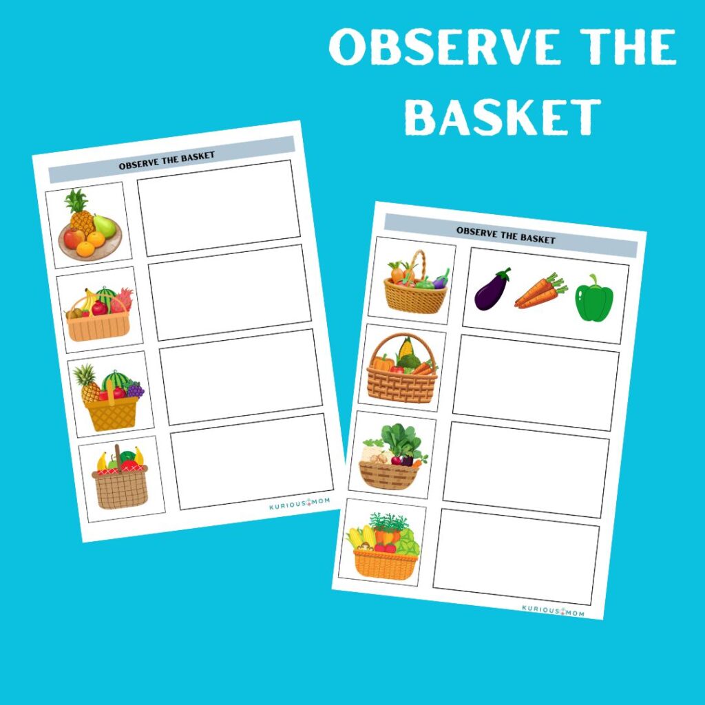 Observe the Basket Activity worksheet - KuriousMom Shop