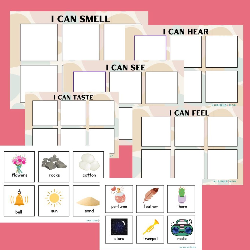 Five Senses Sorting Activity worksheet - KuriousMom Shop