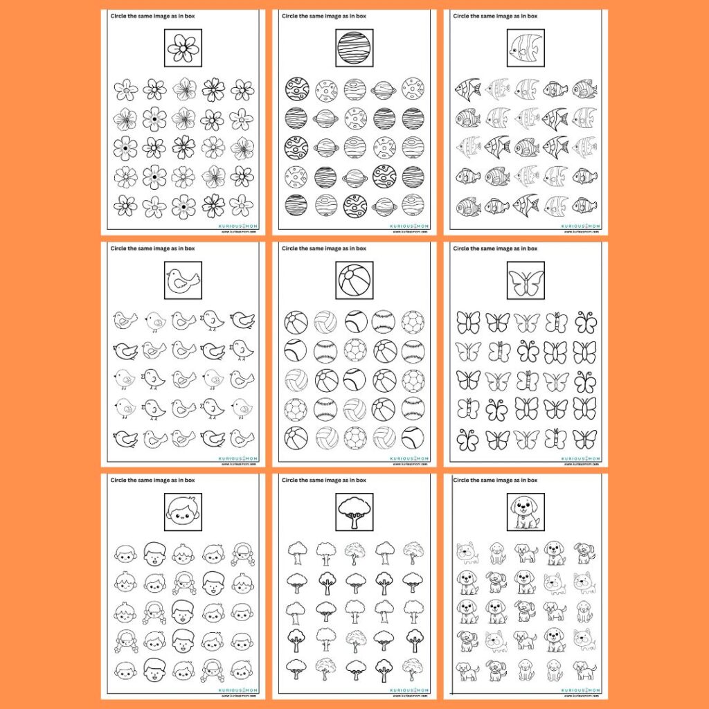 Find and Circle printable worksheet - KuriousMom Shop